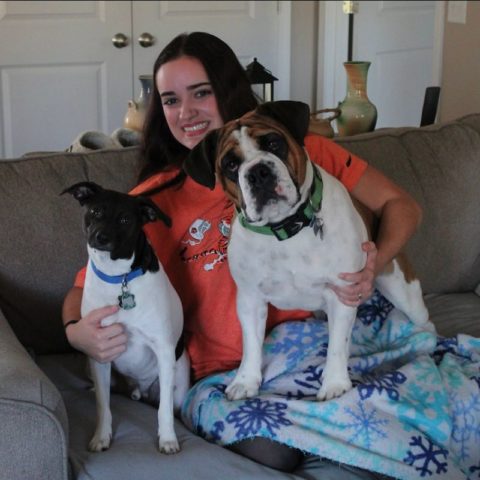 Veterinarian in Cincinnati, OH 45233 - Animal Hospital of Delhi Hills